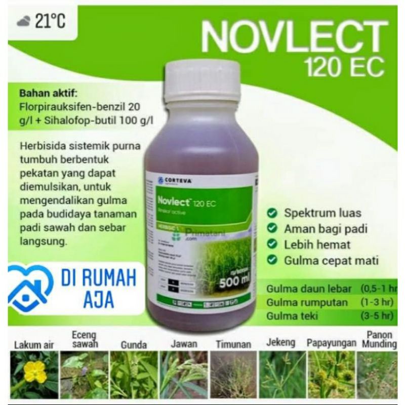 Jual HERBISIDA ampuh obat gulma NOVLECT 500 ml | Shopee Indonesia