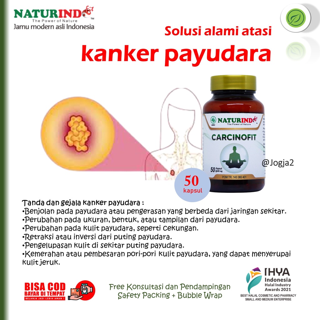 Jual Obat Kanker Tumor Jinak Payudara CARCINOFIT Naturindo | Shopee ...