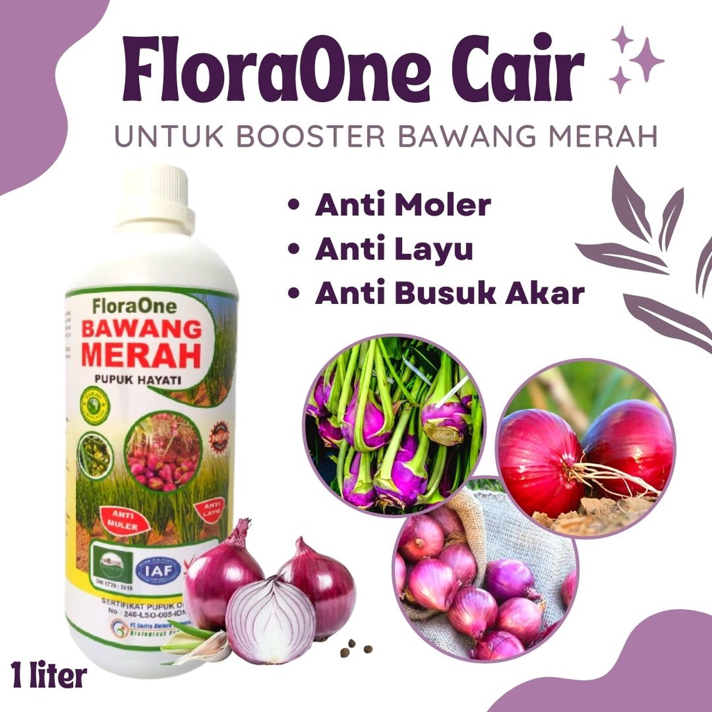 Jual Pupuk Bawang Booster Cair 1 L, FLORAONE Hayati Agar Umbi Bawang ...