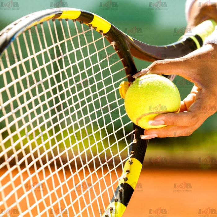 Jual Forten Senar Raket Tenis Omni Spin Tiegut Racket Tennis String ...