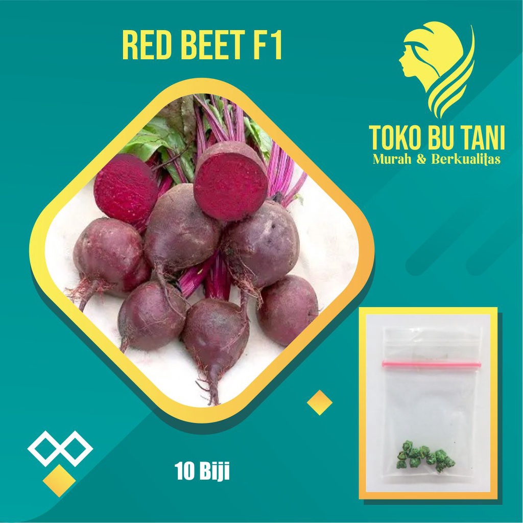 Jual Benih Buah Organic Red Beet Buah Ubi Merah Beetroot Benih Buah ...