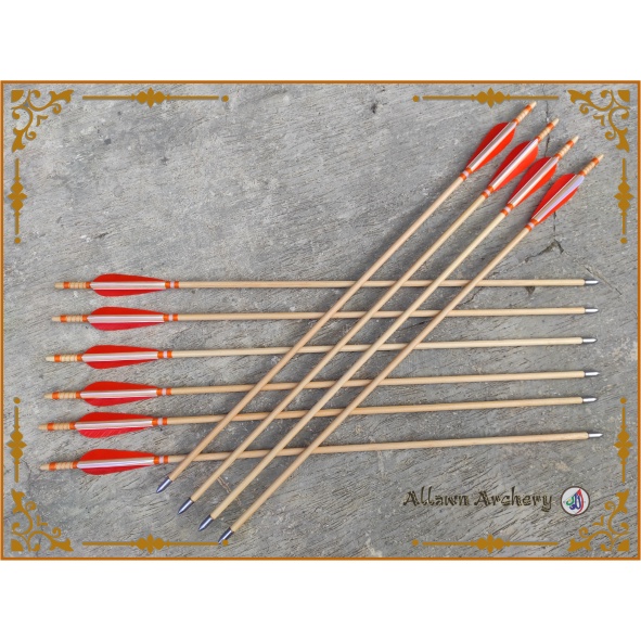 Jual Arrow/ Anak Panah Kayu Pinus Import Vanes Kalkun Berkualitas 8mm ...