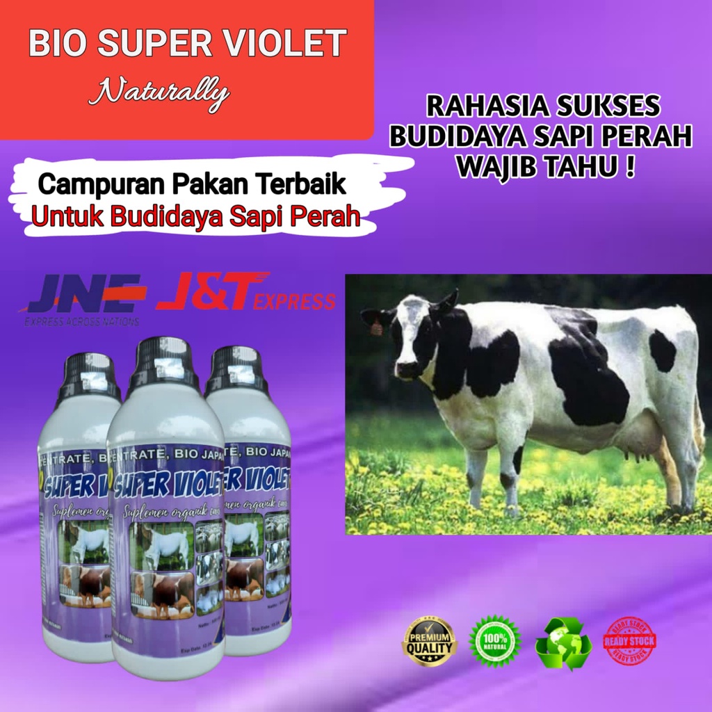 Jual BIO SUPER VIOLET Suplemen Penggemuk Sapi, Kambing, Domba - 250 ml ...