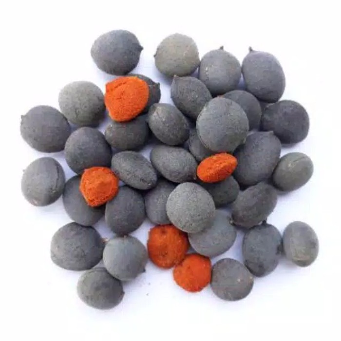 Jual Buah Asam Keranji Asam Kranji 500Gram Khas Bangka Buah Asli Bangka ...