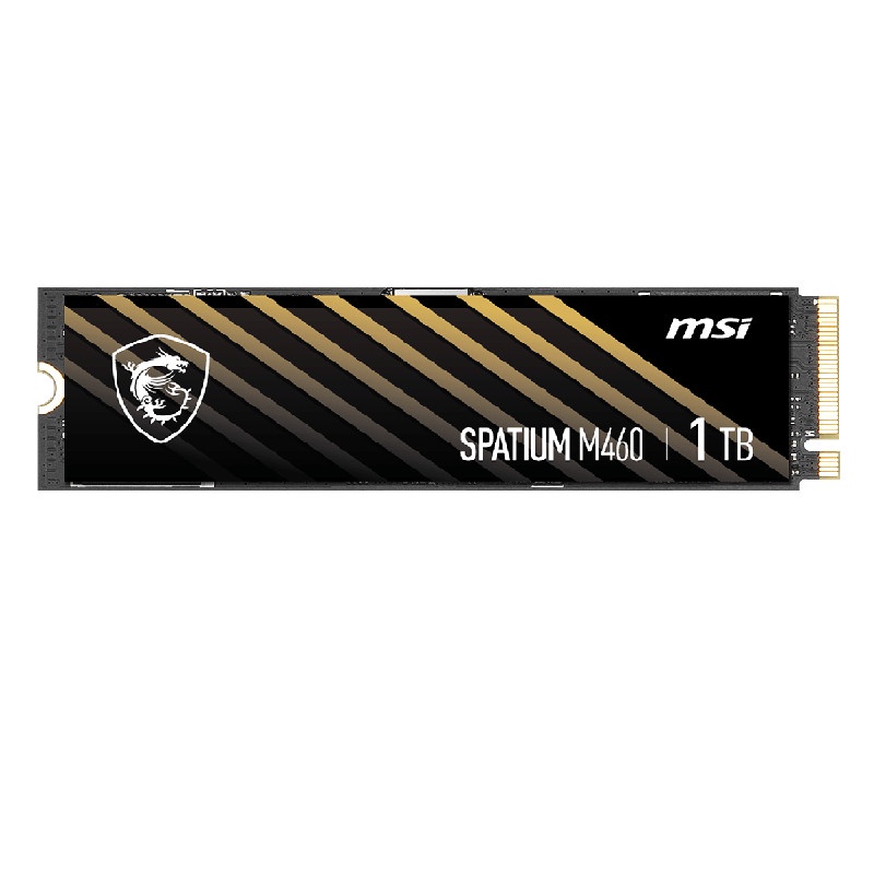 Jual MSI SPATIUM M460 1TB PCIe 4.0 NVMe M.2 | Shopee Indonesia