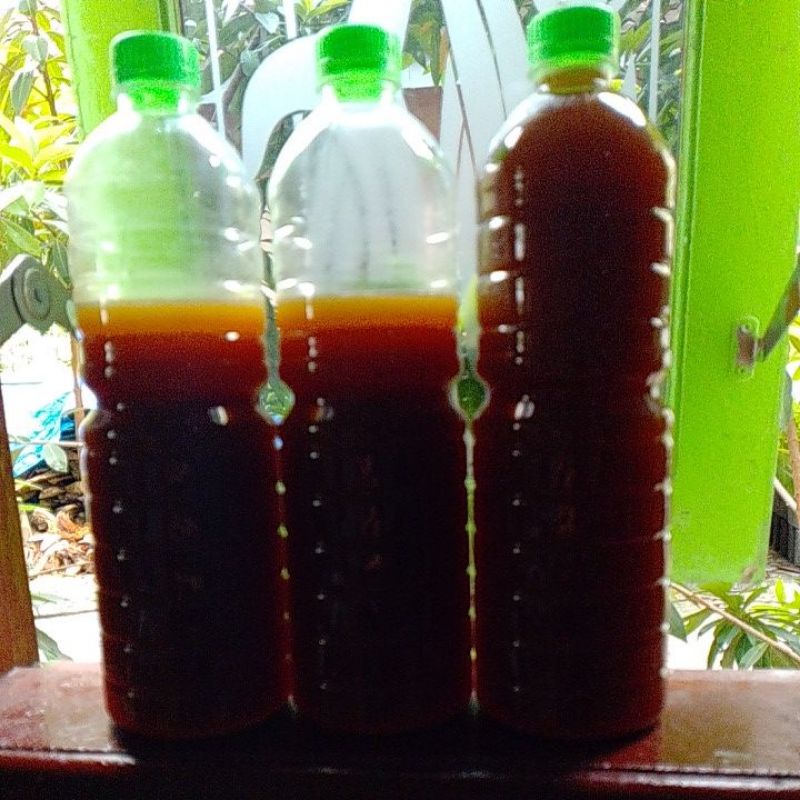 Jual madu klanceng/terminata/kelulut/trigona/kele kele/galo galo ...