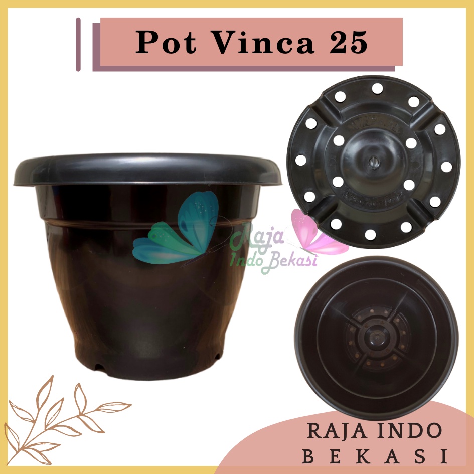 Jual Pot Bunga Vinca 25 Polos Hitam Tanaman Hias Kuping Glory 25 ...