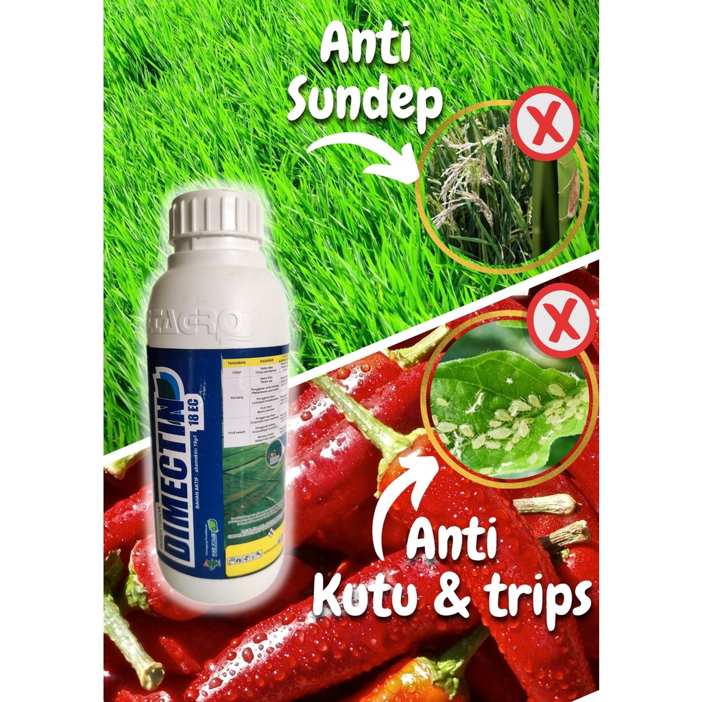 Jual DIMECTIN 18 EC. ABAMECTIN UNTUK TRIPS DAN KUTU CABAI / TOMAT ...