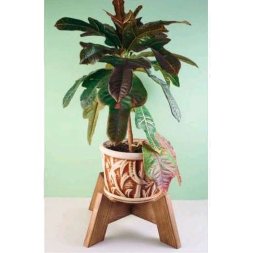 Jual Standing Pot Tanaman Ceper Kayu Termurah Standing Planter Kayu ...