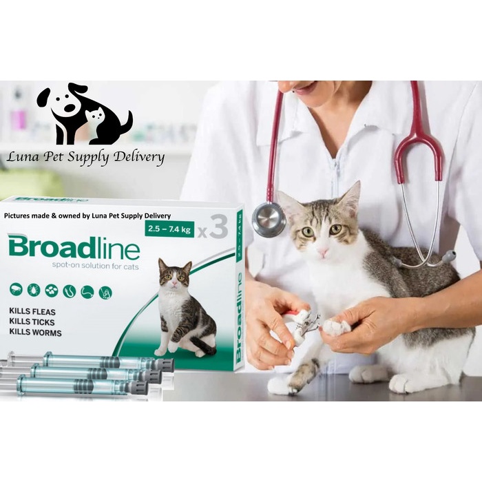 Jual Obt Obat Kutu, Pinjal, Scabies Dan Cacing Kucing Broadline L 2,5 ...
