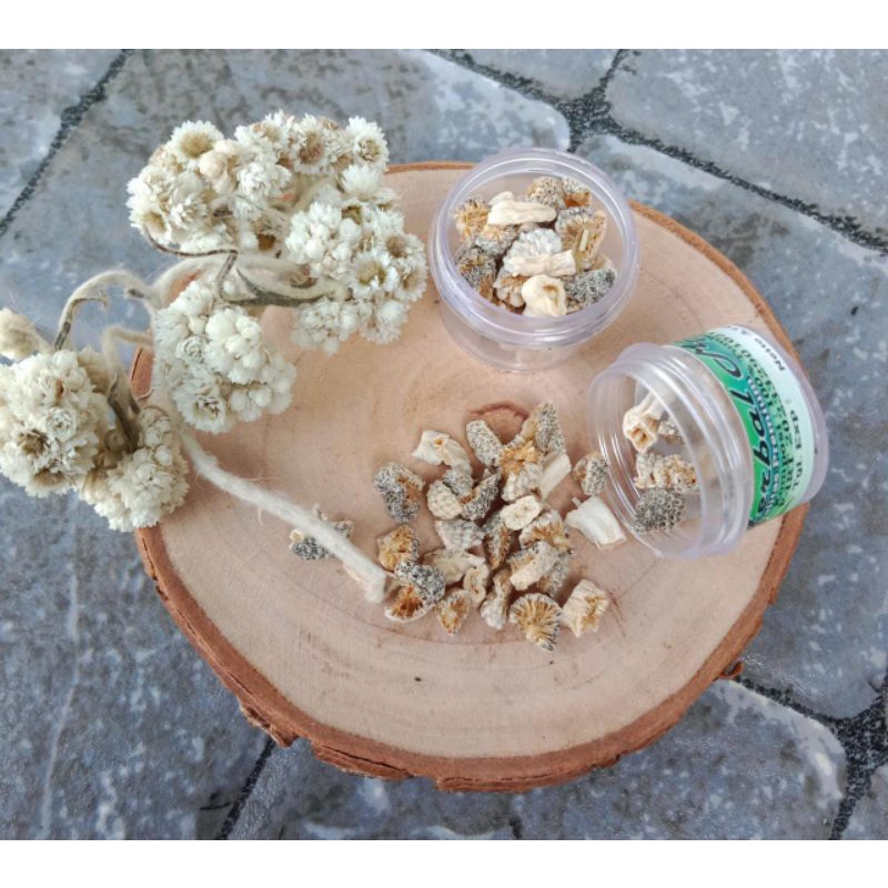 Jual Mpot Biang Maz (Putih) | Shopee Indonesia