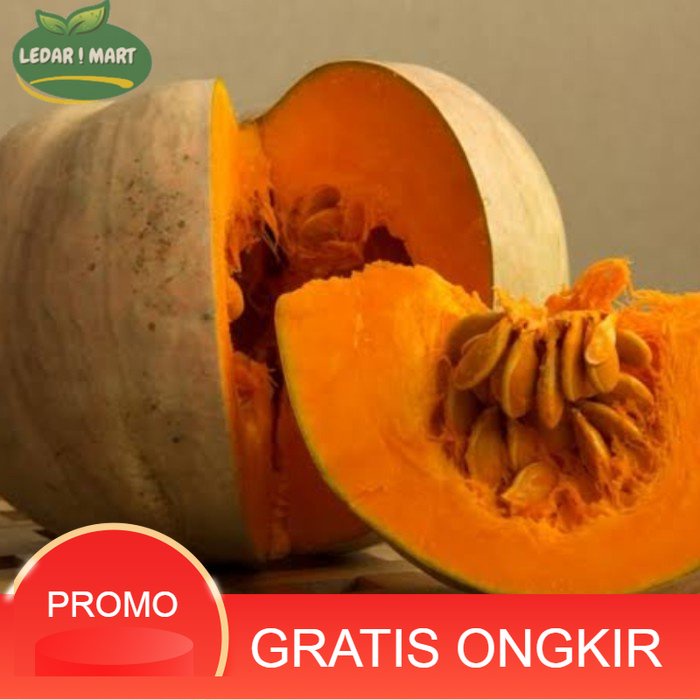 Jual Labu Parang Kuning Organik 500gr | Shopee Indonesia
