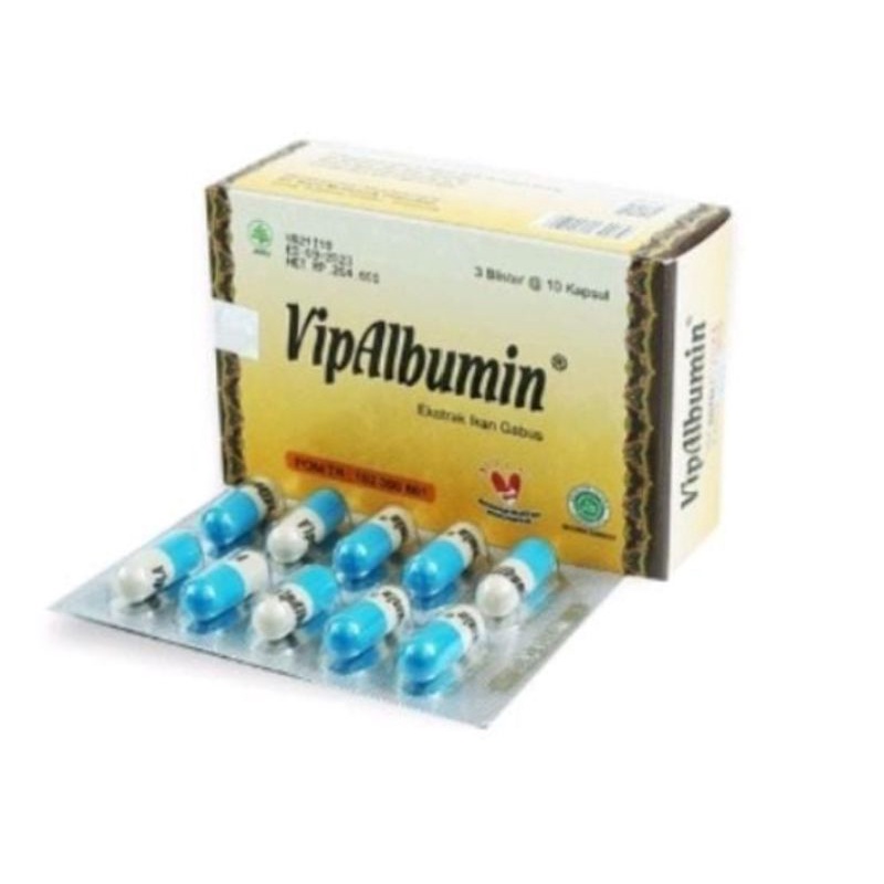 Jual Vip Albumin Kapsul isi 10 | Shopee Indonesia
