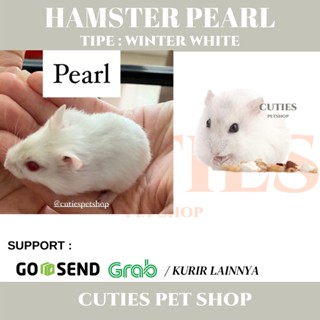 Jual HAMSTER WINTER WHITE WW BLUE ARGENTE / SAPHIRE / TIGER | Shopee ...