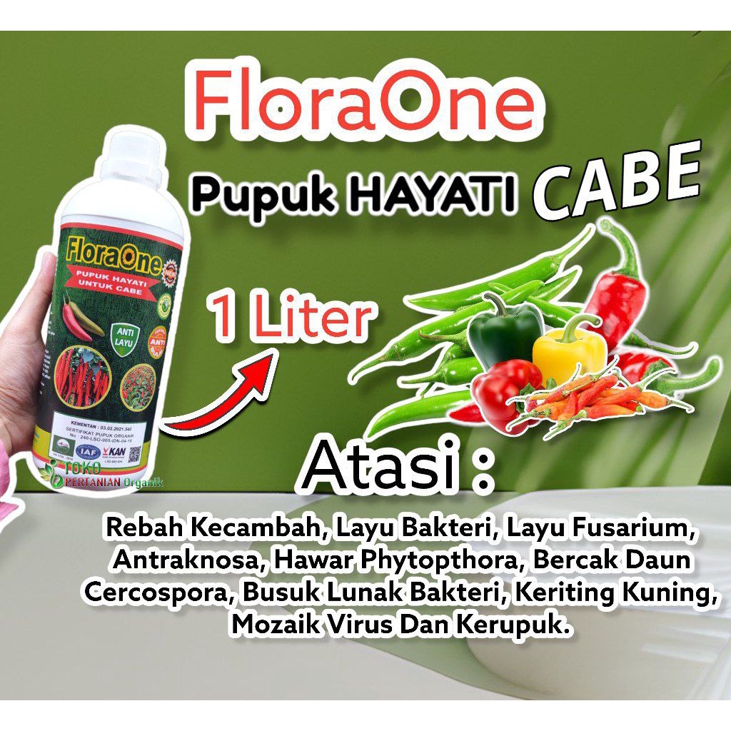Jual Pupuk Hayati cair FLORAONE cabe hidroponik anti layu fusarium, Obat pengendali tanaman cabe ...