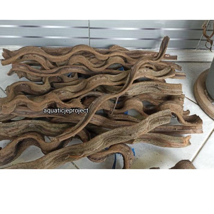 Jual KAYU TRINIL / AKAR TRINIL /AKAR LANGIT AQUASCAPE HARDSCAPE ...