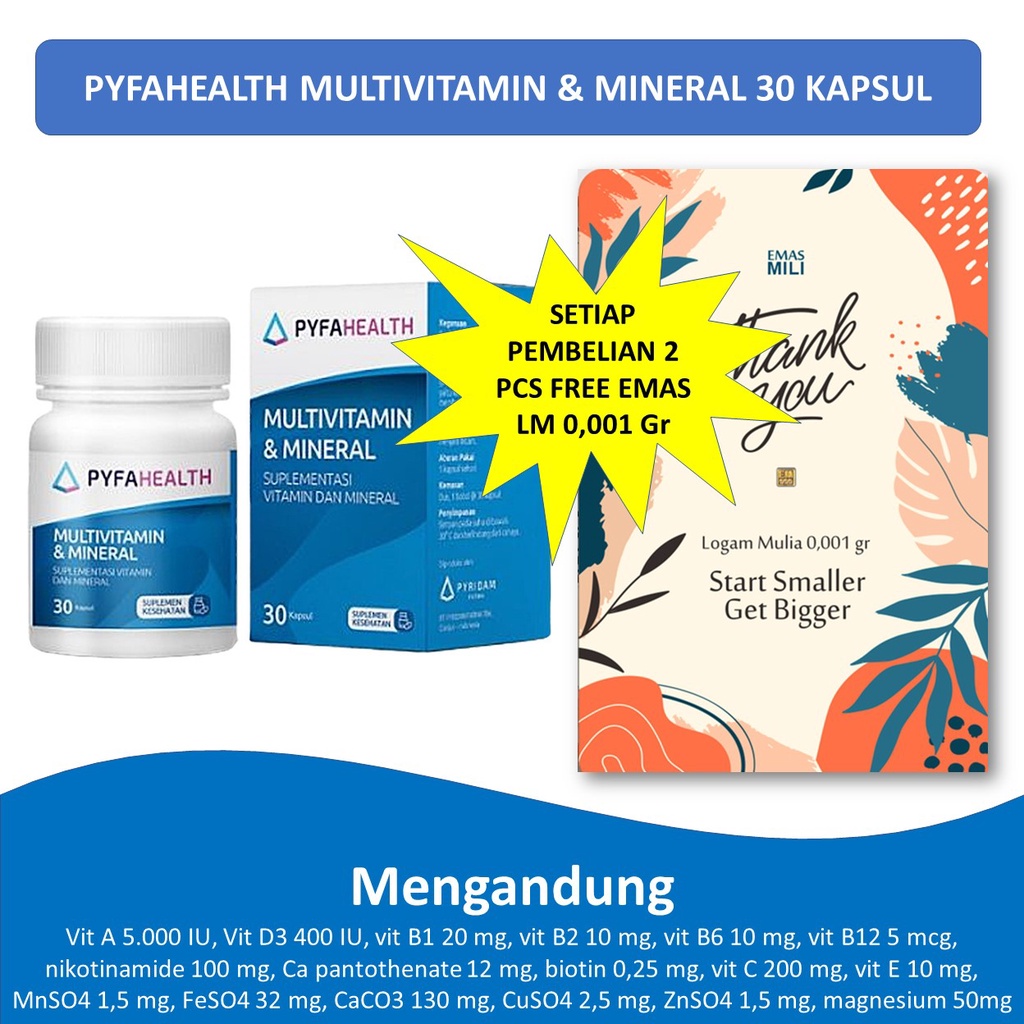 Jual PYFAHEALTH Multivitamin Mineral 30 Kapsul | Shopee Indonesia
