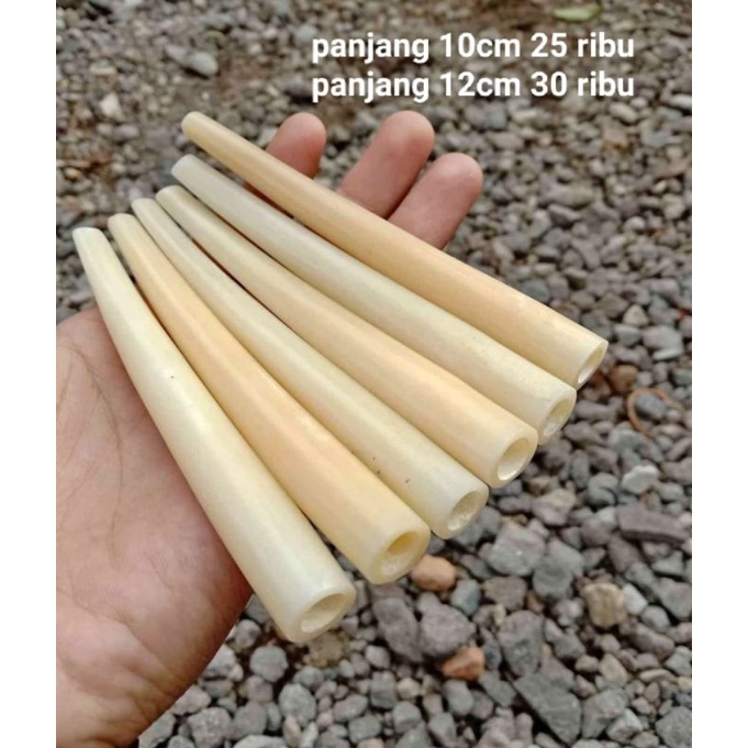 Jual ONCE TULANG SAPI KUNING MIRIP GADING PANJANG 11CM RASA GURIH ...