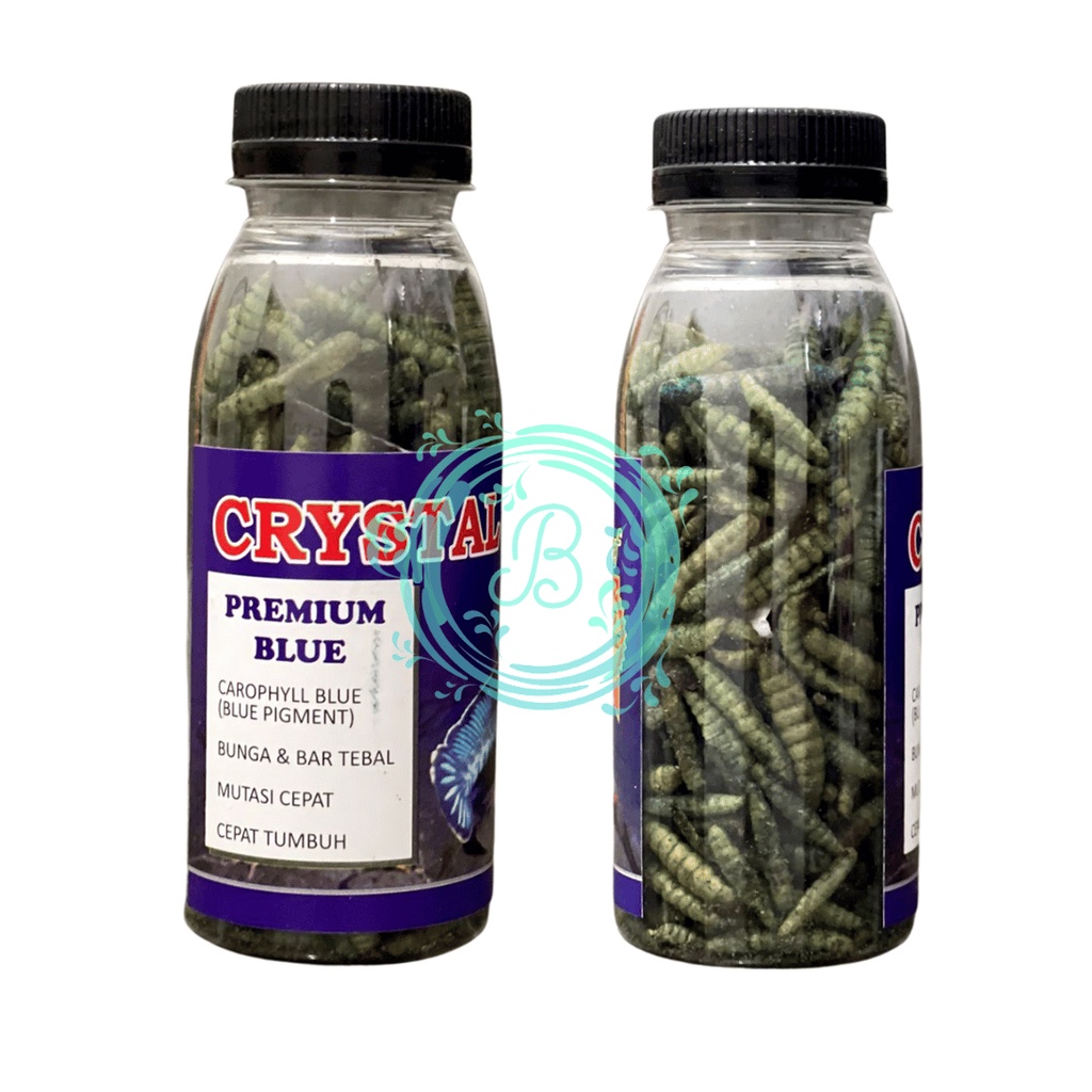 Jual Crystal Dry Maggot Kering BSF Carophyll Blue Pigment Warna Biru ...