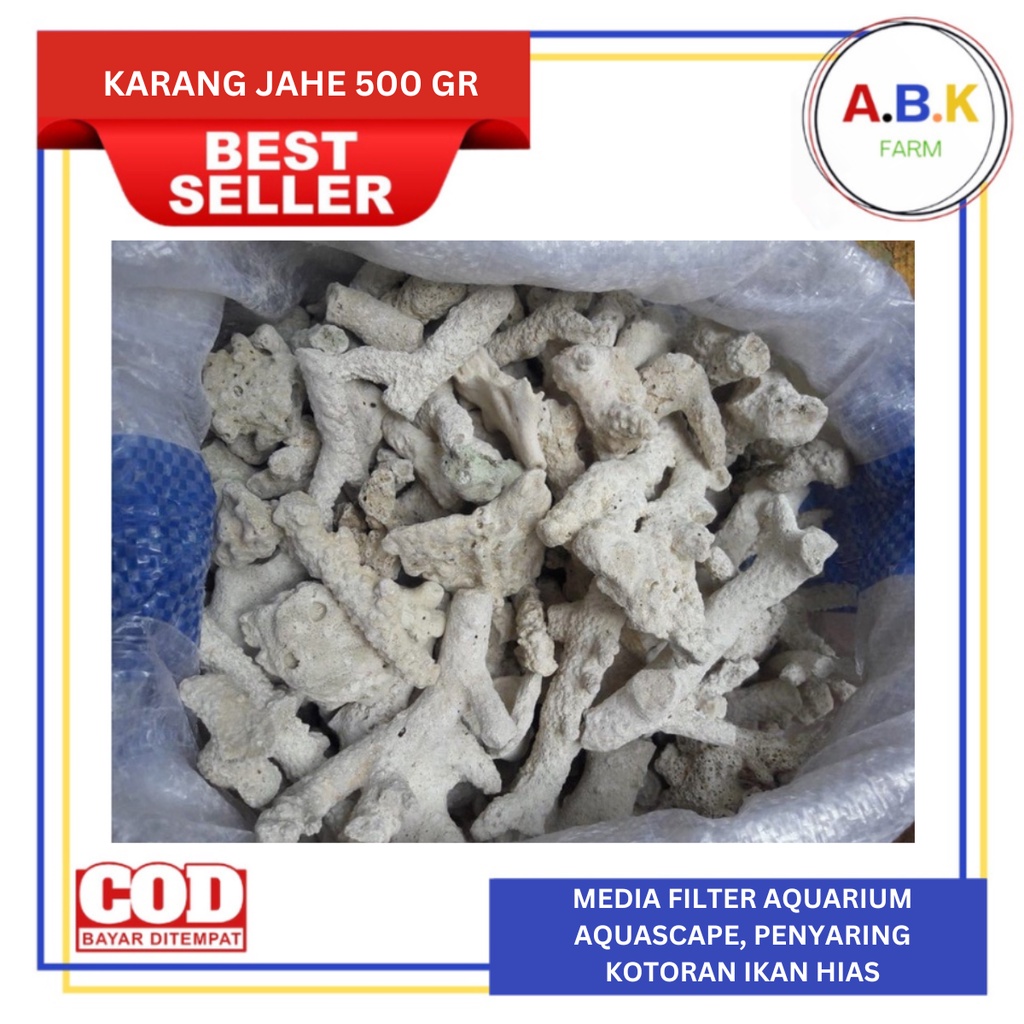 Jual karang jahe media filter ph air hiasan dekorasi penyaring kotoran ...