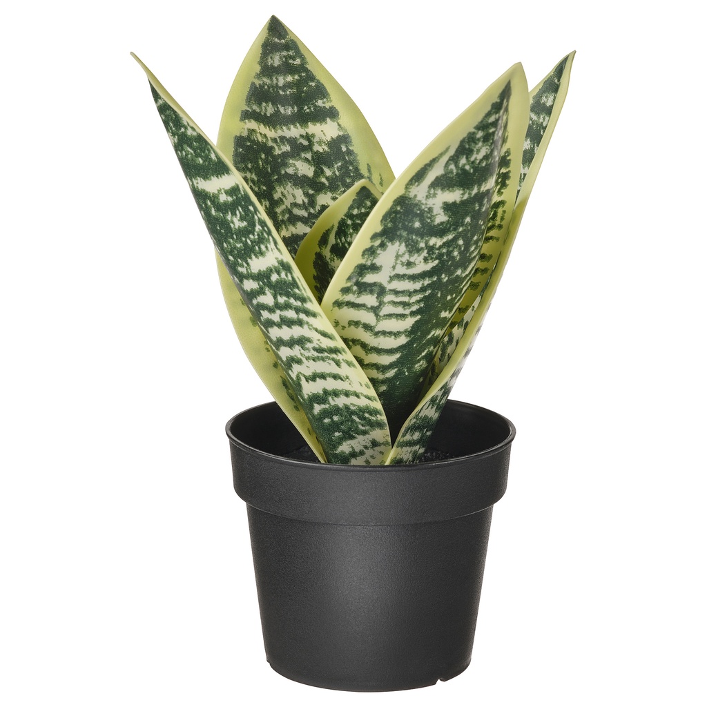 Jual Tanaman Bunga Lidah Mertua Sansevieria Mini Plastik Tiruan ...