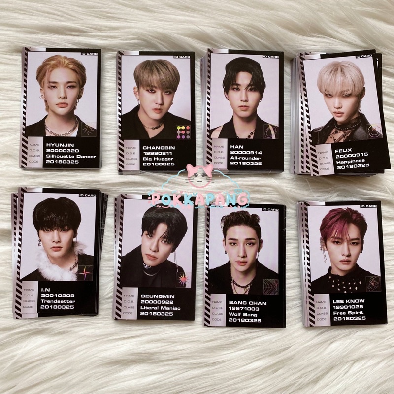 Jual Stray Kids Oddinary Official ID Photocards | Shopee Indonesia