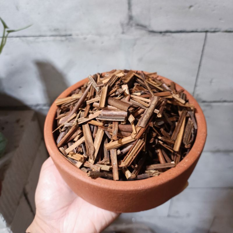 Jual Andam Bambu - Media Tanam | Shopee Indonesia