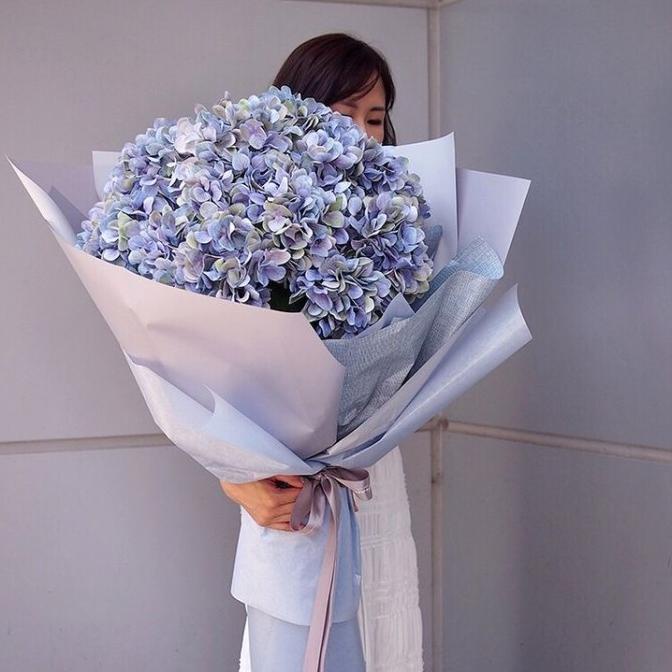 Jual Hydrangea XXL Bouquet Bucket Buket Bunga Wisuda Ultah Segar Fresh ...