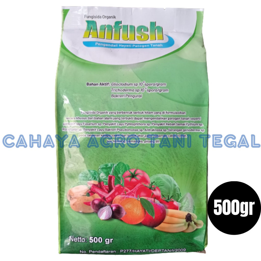 Jual Fungisida Organik ANFUSH 500gram Pengendali Hayati Patogen Tanah ...