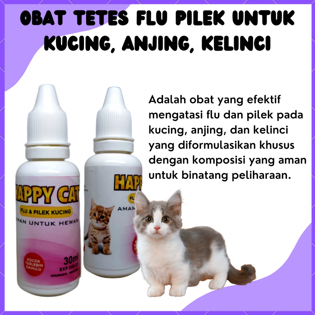 Jual OBAT TETES FLU BATUK HEWAN PELIHARAAN MENGOBATI FLU BATUK PILEK ...