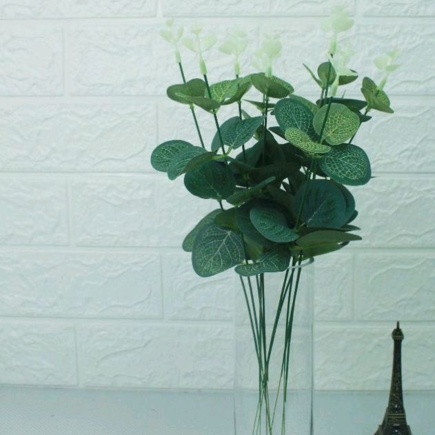 Jual DAUN TANGKAI PANJANG EUCALYPTUS BUNGA PUTIH DEKOR WEDDING, BUKET ...