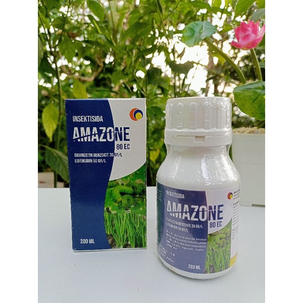 Jual PRODUK ORIGINAL AMAZONE 80EC 200ML | Shopee Indonesia