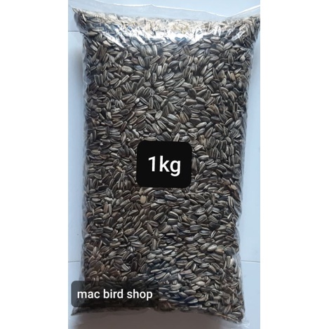 Jual Biji bunga matahari Kuaci Hamster dan Burung dan Bibit Tanaman super bersih tdk kotor 1kg ...