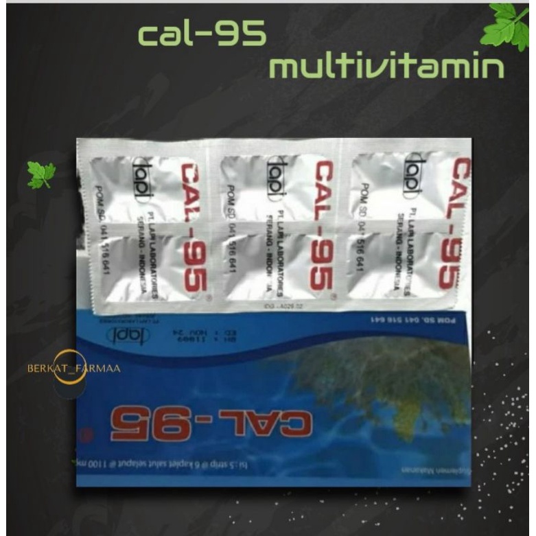 Jual CAL-95 Multivitamin / SUPLEMEN | Shopee Indonesia