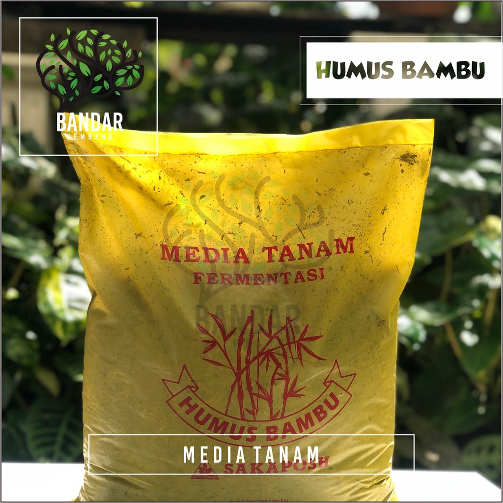 Jual Humus Kompos Daun Bambu Steril 2,7kg Media Tanam Siap Pakai Metan ...