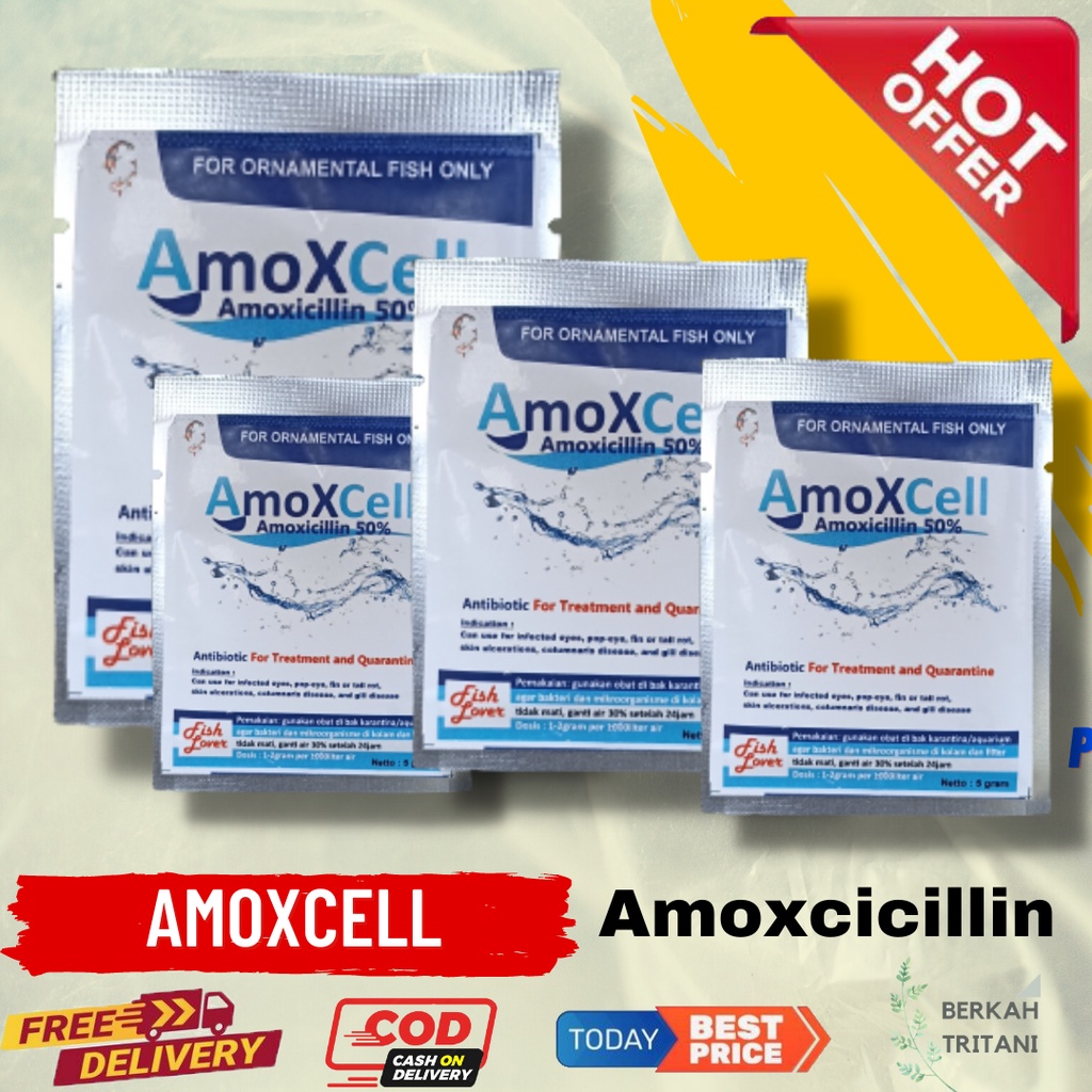 Jual Amoxcell repack 10gr Obat Berbagai Penyakit Ikan Koi dan Ikan ...