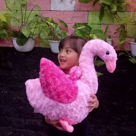 Jual Boneka Angsa Jumbo | Shopee Indonesia
