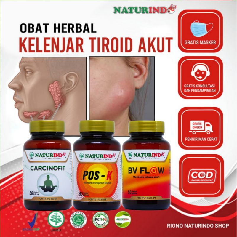 Jual Obat Herbal Tiroid Teroid Hypertiroid Kelenjar Gondok Benjolan ...