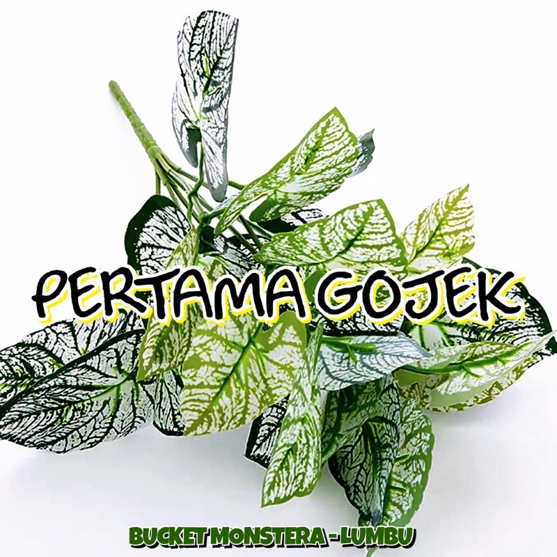 Jual Monstera Plastik/ Bunga Plastik/ Daun Plastik/ Daun Rambat Plastik ...