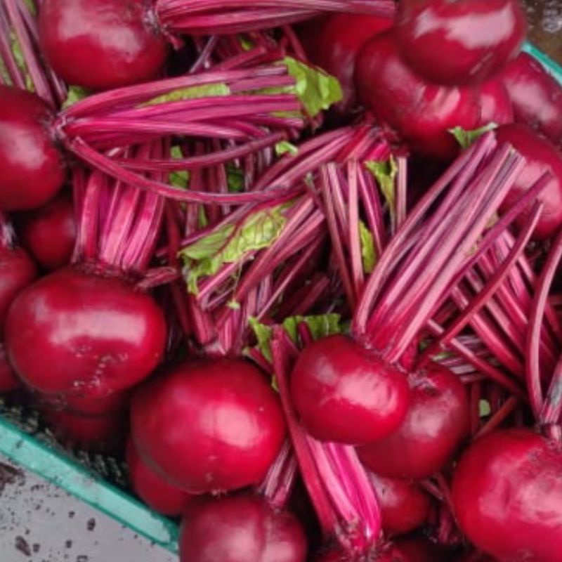 Jual BUAH BIT KUALITAS TERBAIK 1KG | Shopee Indonesia