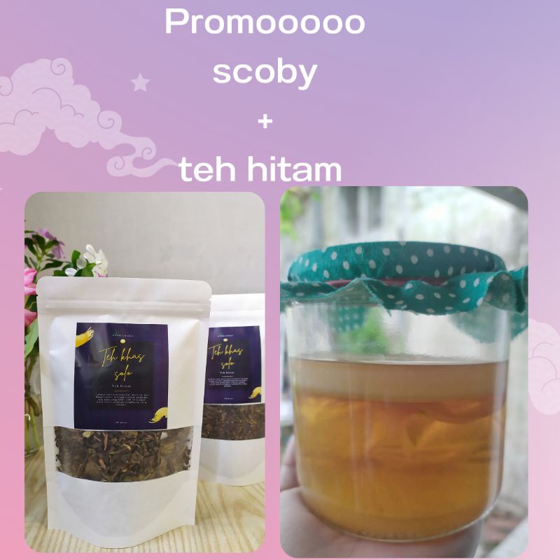 Jual promo bibit kombucha / jamur scoby / scoby terbaik teh | Shopee ...