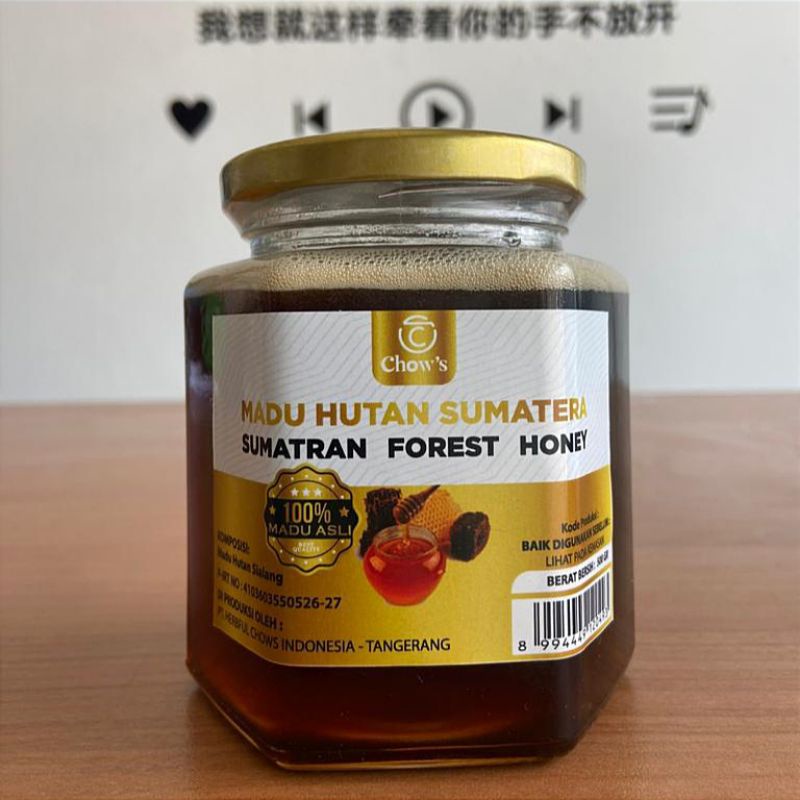 Jual Madu Hutan Sumatera / Madu Sialang / Madu Hutan / Madu Asli / Madu ...