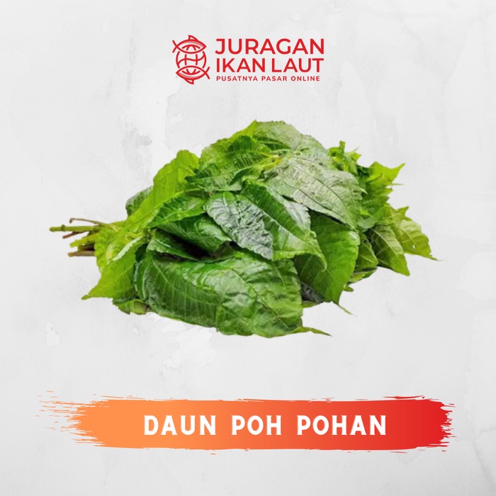 Jual Daun Poh Pohan Segar Berkualitas - 1 Ikat | Shopee Indonesia