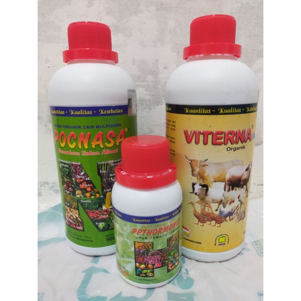 Jual vitamin ternak sapi 1 paket/ vitamin pertumbuhan ternak nasa ...