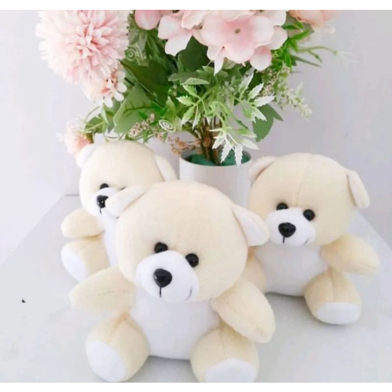 Jual Boneka Beruang Teddy Bear Wisuda 13cm/15cm/17cm Boneka Mini Untuk ...