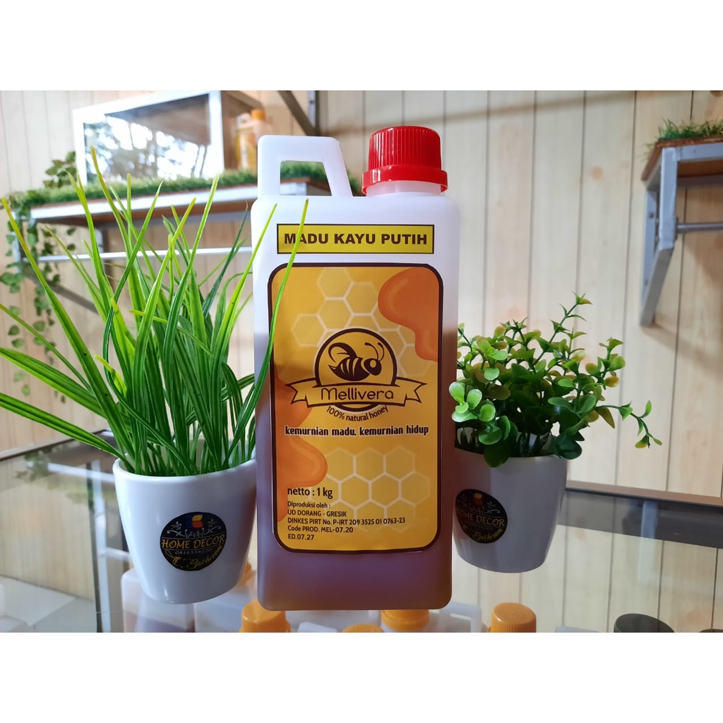 Jual Madu Murni Asli Pohon Kayu Putih 1kg | Shopee Indonesia