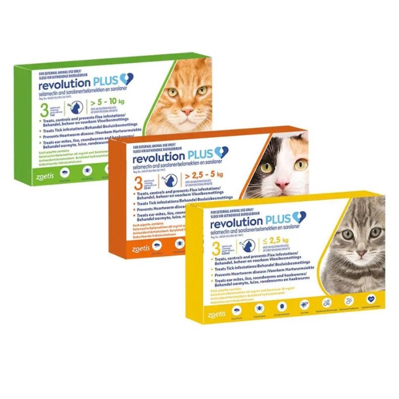 Jual Revolution PLUS for Cat & Kitten - Obat Anti Kutu Kucing (HARGA ...