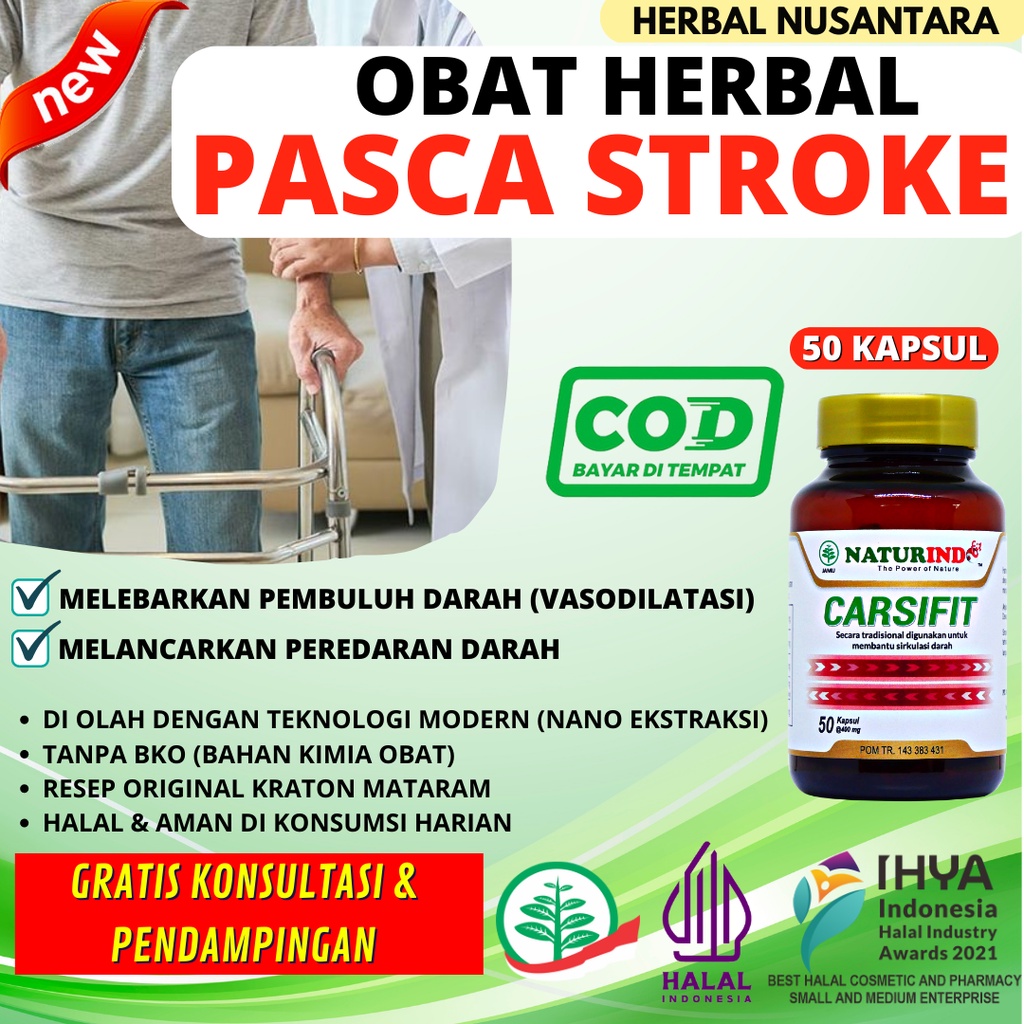 Jual Obat Stroke Struk Ringan Herbal Saraf | Shopee Indonesia
