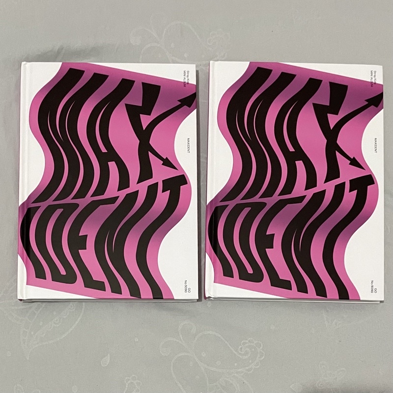 Jual ALBUM ONLY STRAY KIDS MAXIDENT LIMITED GO VERSION | Shopee Indonesia