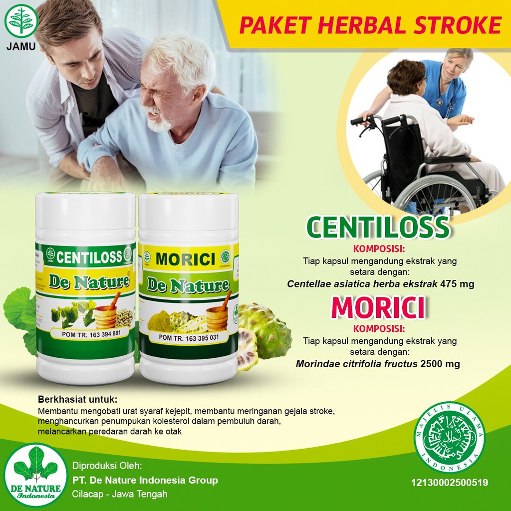 Jual OBAT STROKE STRUK STROK SARAF KEJEPIT LUMPUH SEBELAH Herbal Ampuh ...